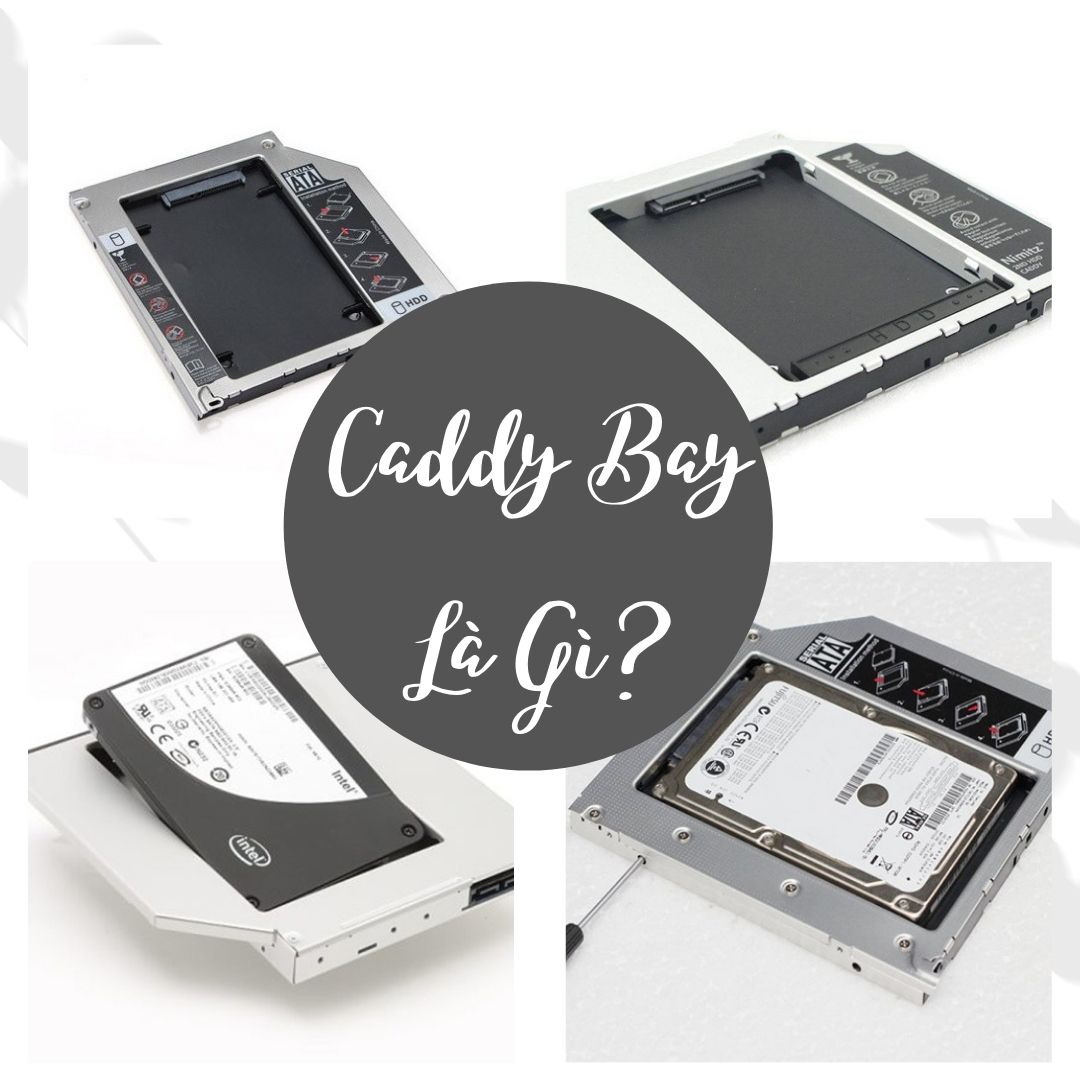 Caddy Bay Là Gì? Caddy Bay Nên Gắn Ổ SSD Hay HDD? | Thành Vinh Center